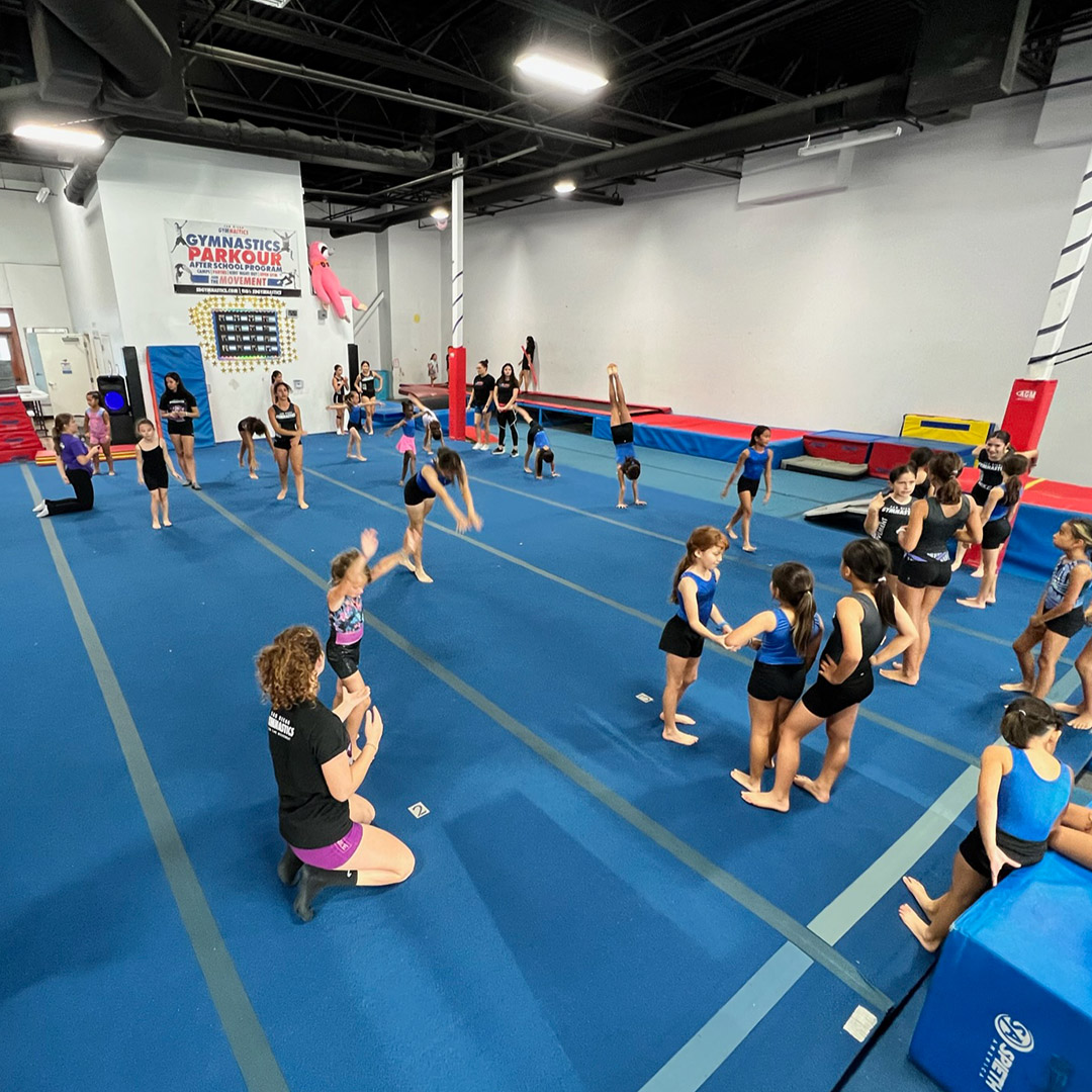 Gymnastics Franchise | About GForce Gymnastics & Parkour